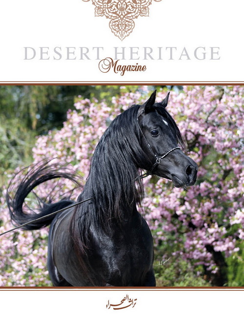 Rothenberg Arabians - Gestuet Rothenberg